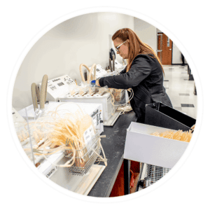 Services - Donate Blood - The Blood Connection